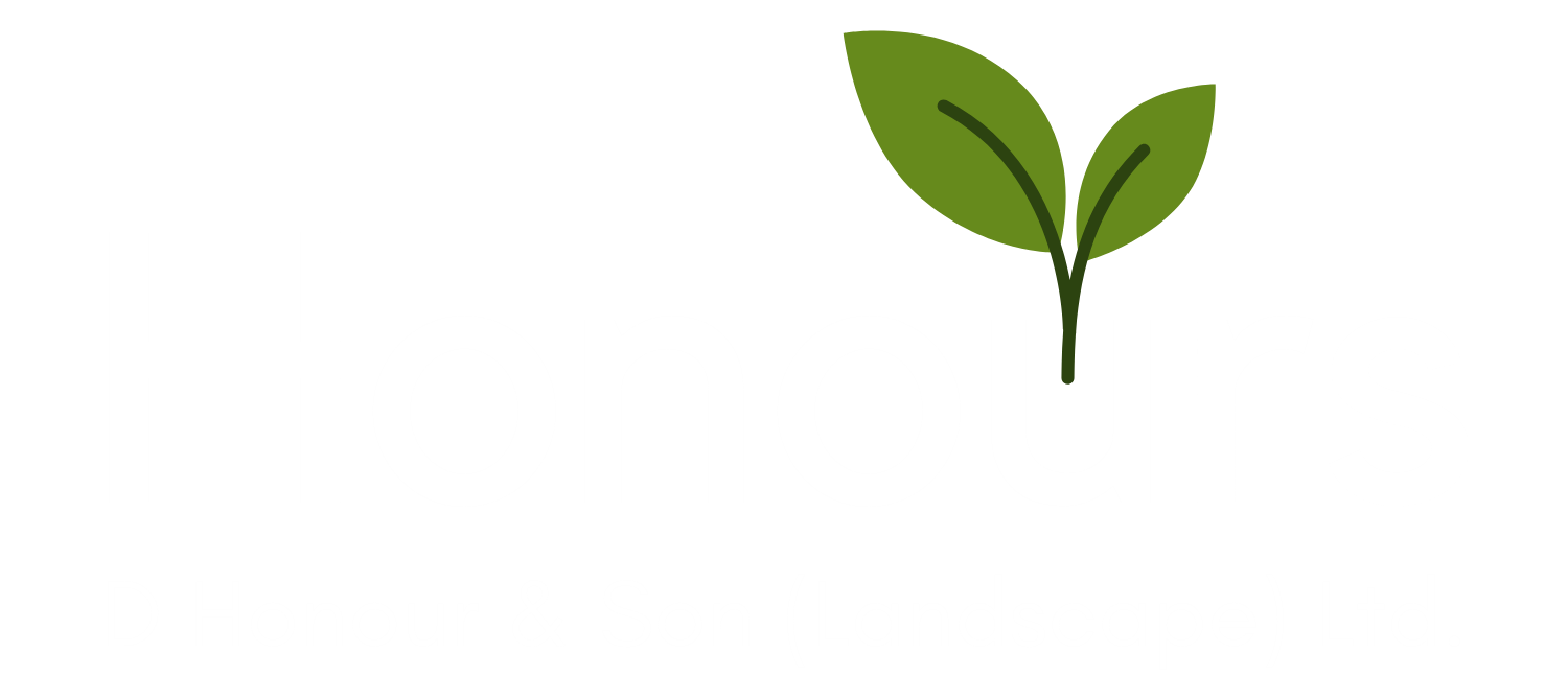 Our Services – Honours